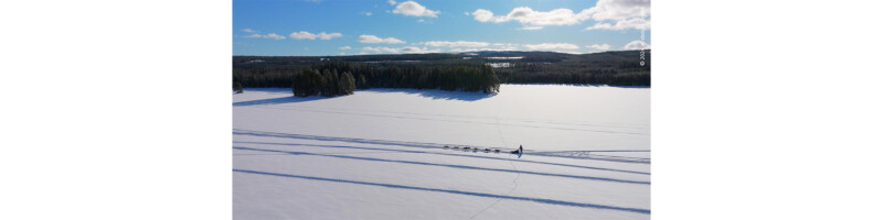 Aktuelles aus dem EUROPARK | News & aktuelle Infos